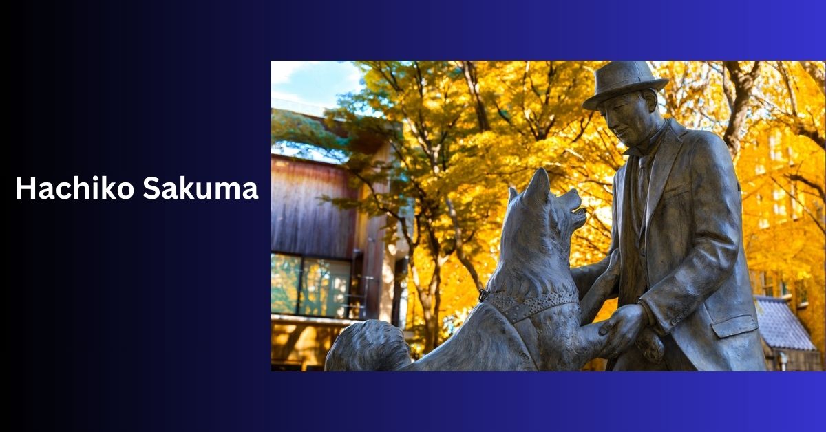 Hachiko Sakuma - A Tale Of Dedication And Courage That Inspires!