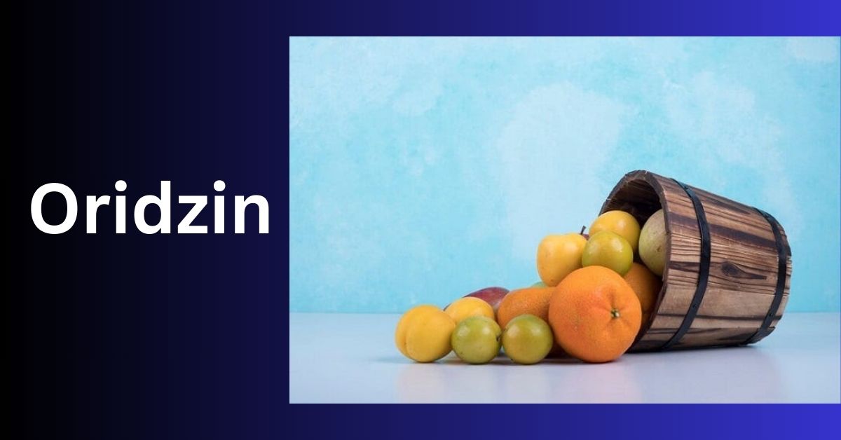 React Times - Talk Of The Town News Around The World!