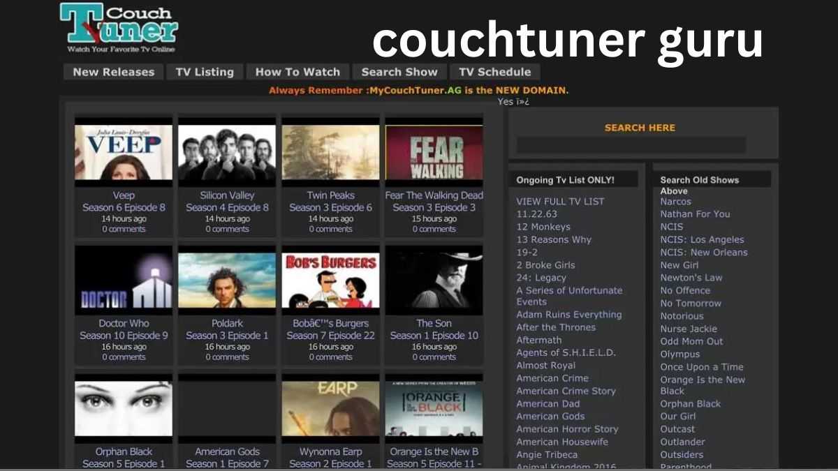 Couchtuner Guru - Navigating the Streaming Landscape!